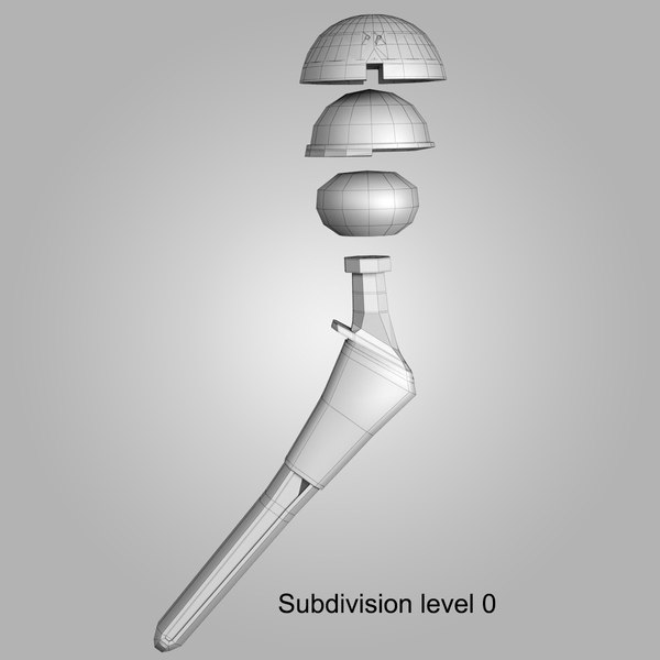 max femoral prosthesis