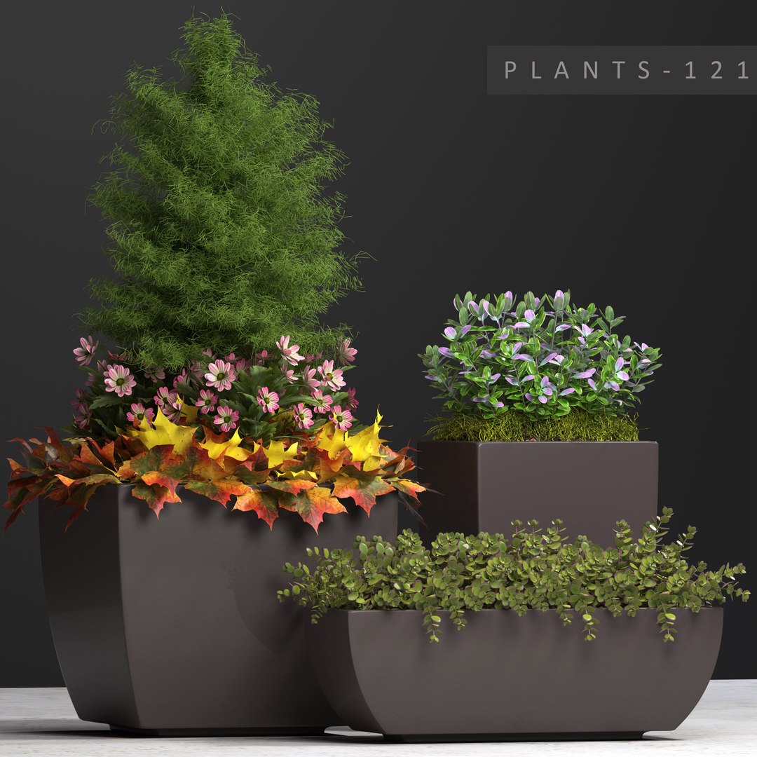 Plants Set 121 3D Model - TurboSquid 1220559