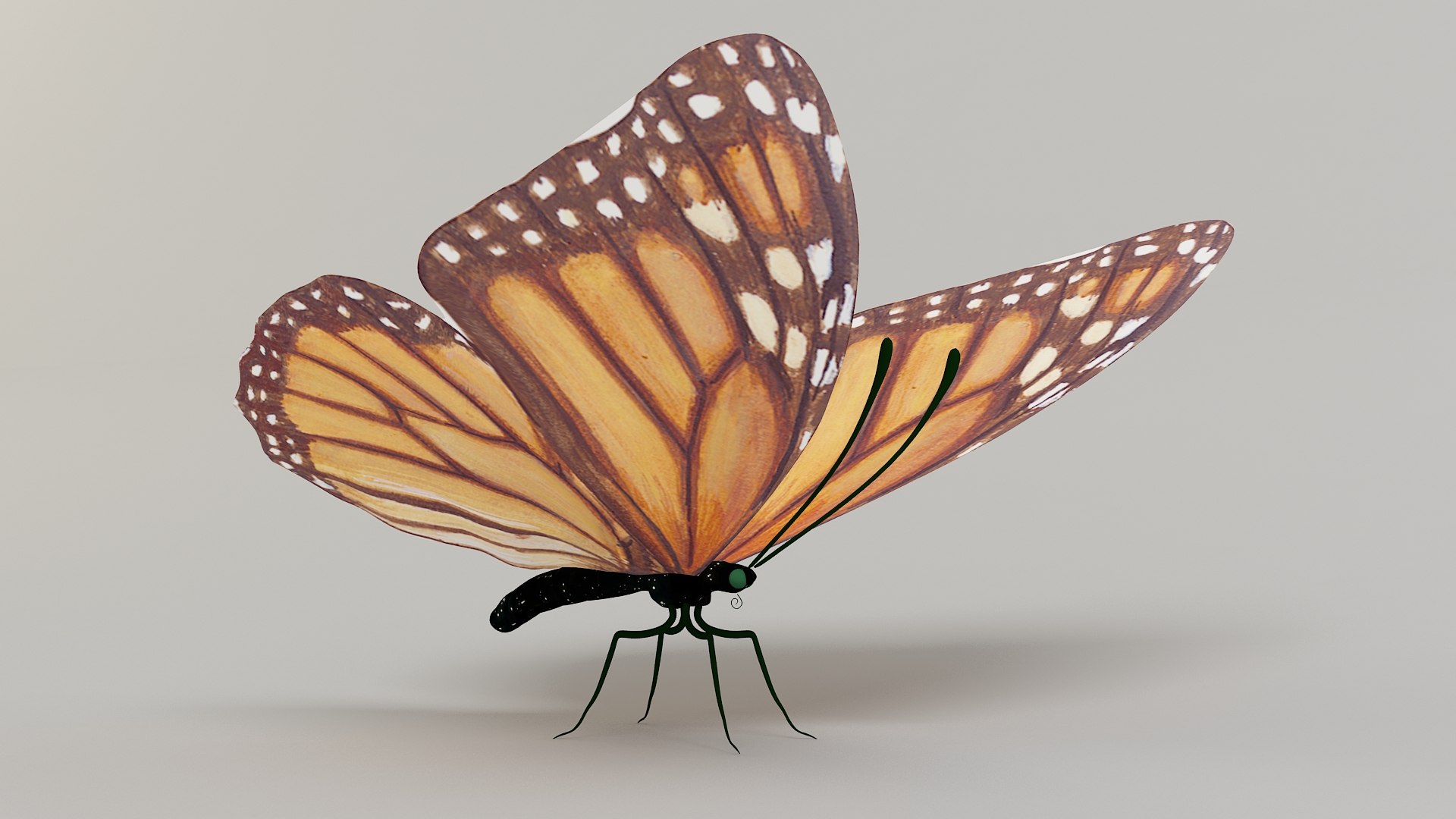 Butterfly Monarch Insect 3D Model - TurboSquid 1687792