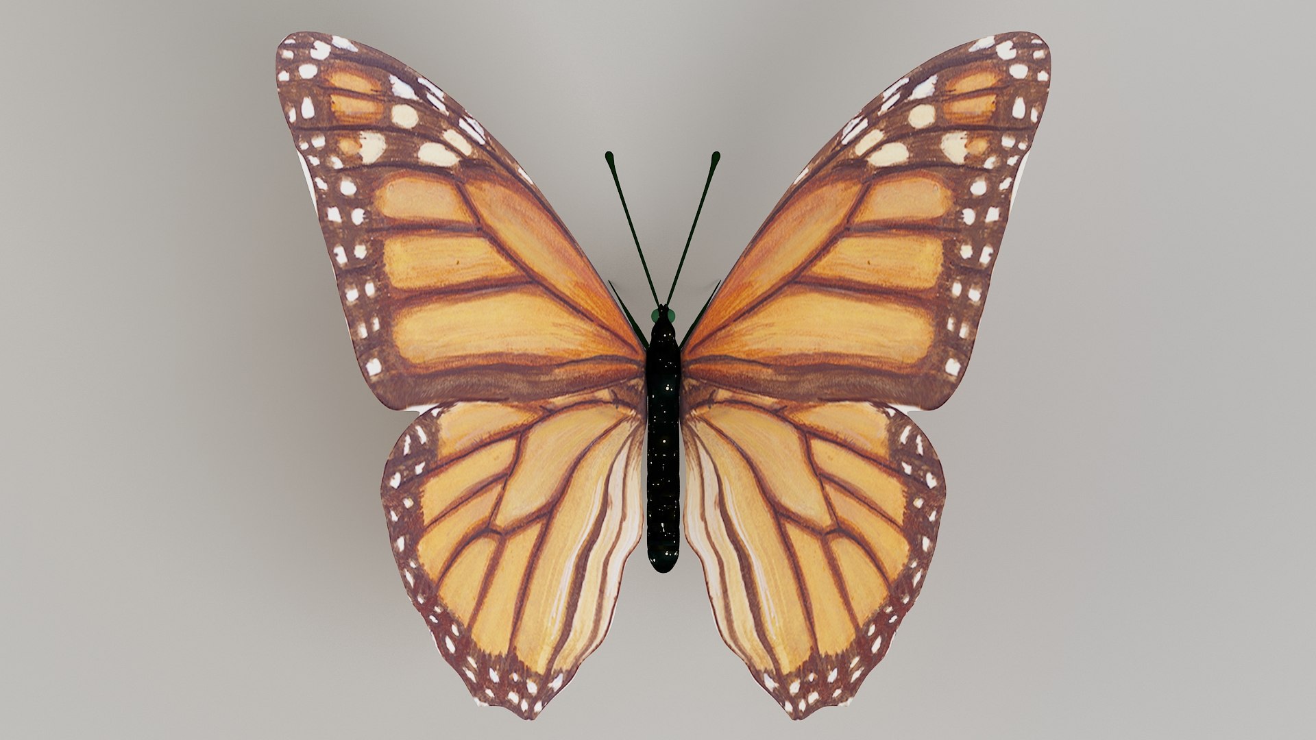 Butterfly Monarch Insect 3D Model - TurboSquid 1687792
