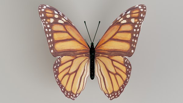 modelo 3d mariposa - TurboSquid 1687792