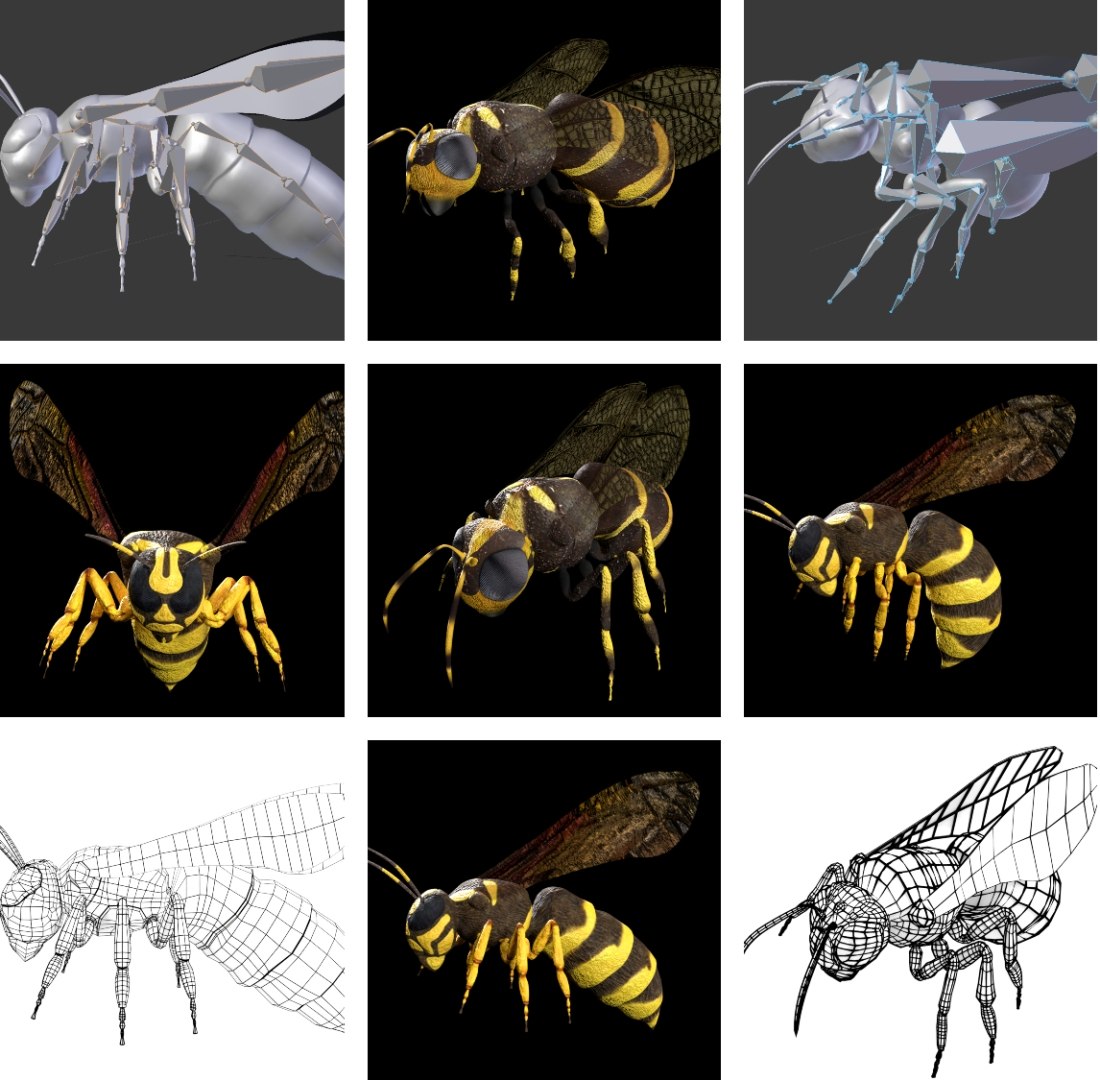 Wasp Rigged 3D Model - TurboSquid 1665534