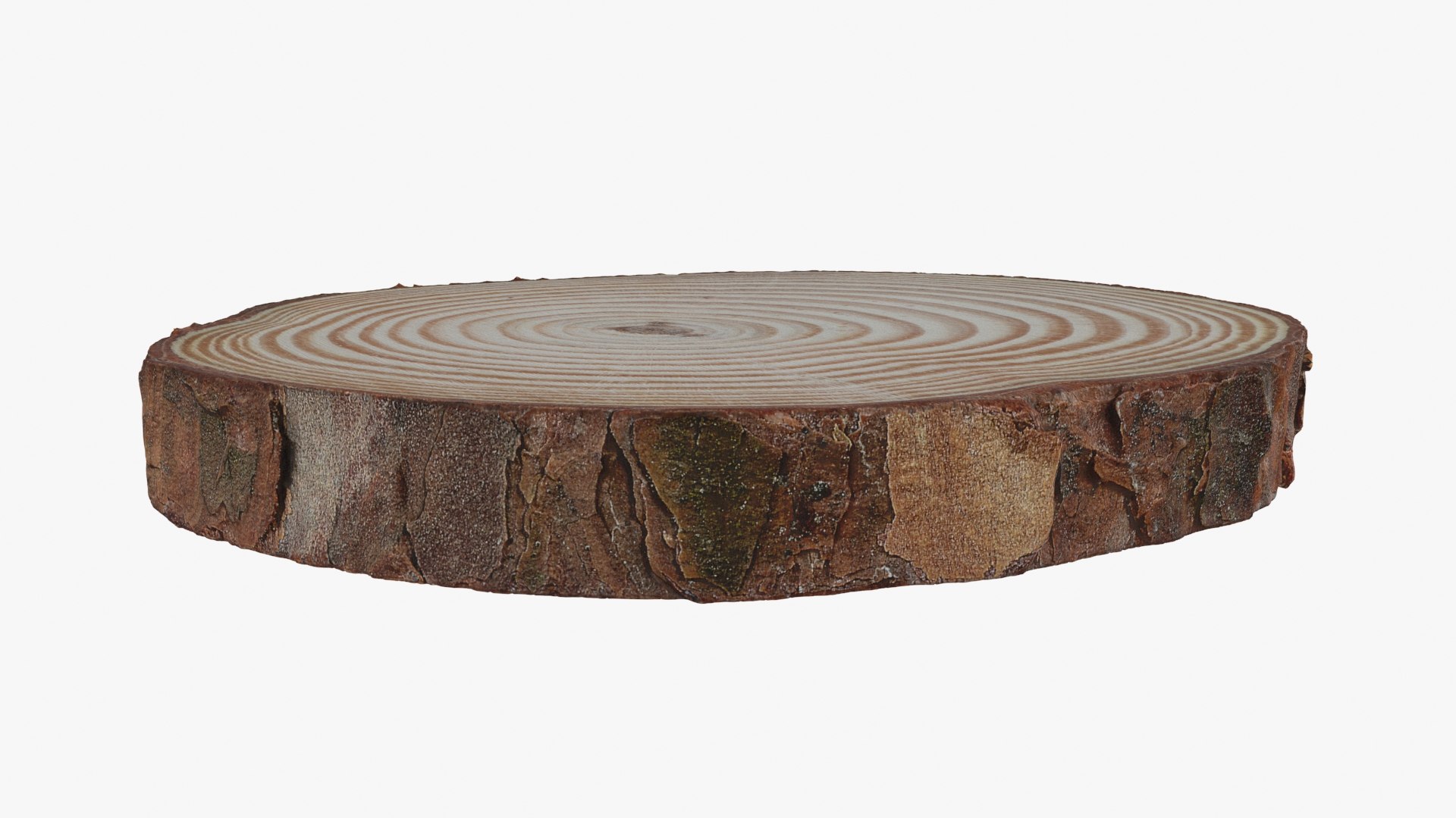 3D Model Wood Log Slice 01 - TurboSquid 2147985