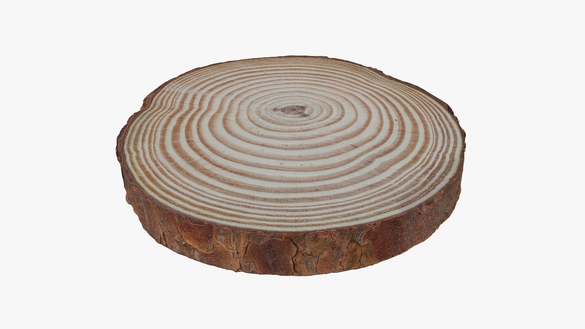 3D Model Wood Log Slice 01 - TurboSquid 2147985