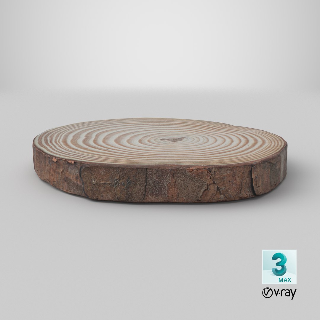 3D Model Wood Log Slice 01 - TurboSquid 2147985