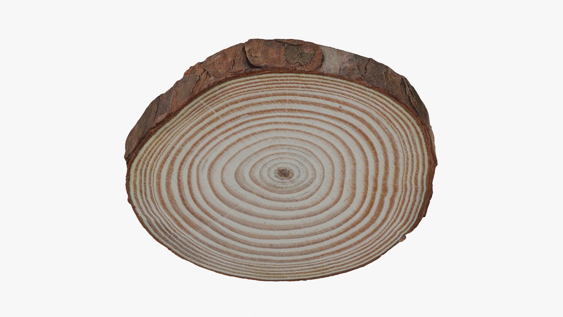 3D Model Wood Log Slice 01 - TurboSquid 2147985