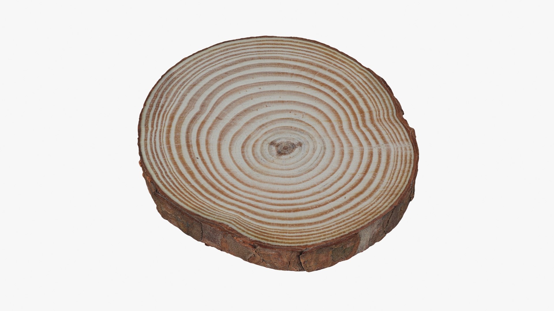 3D Model Wood Log Slice 01 - TurboSquid 2147985