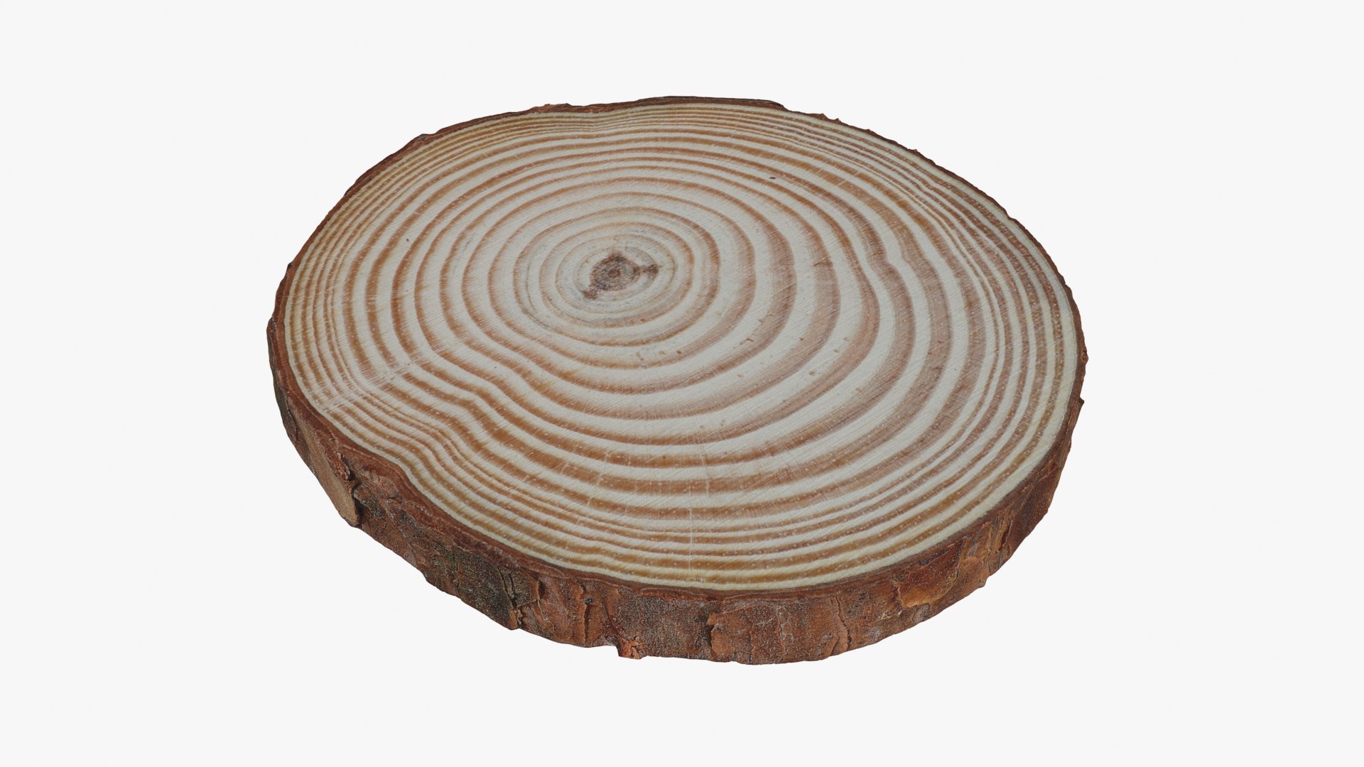 3D Model Wood Log Slice 01 - TurboSquid 2147985