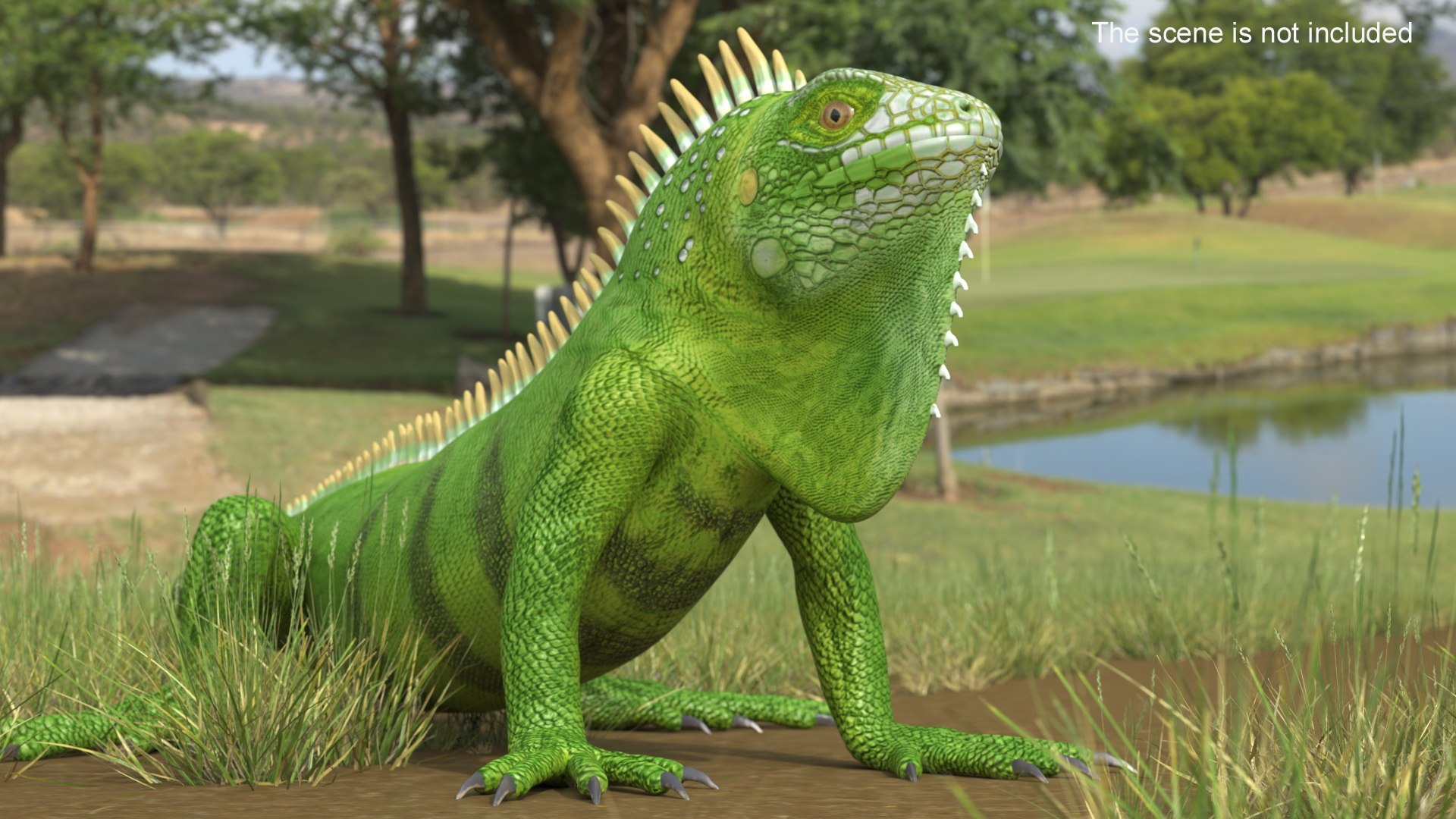 Iguana Reptile 3D - TurboSquid 2330679