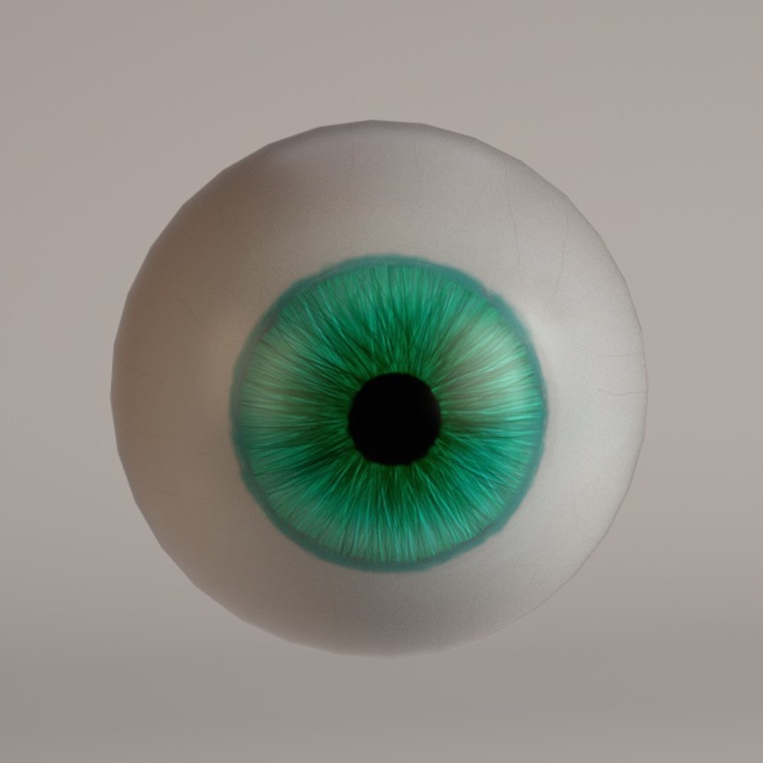 Human Eye 3d Model