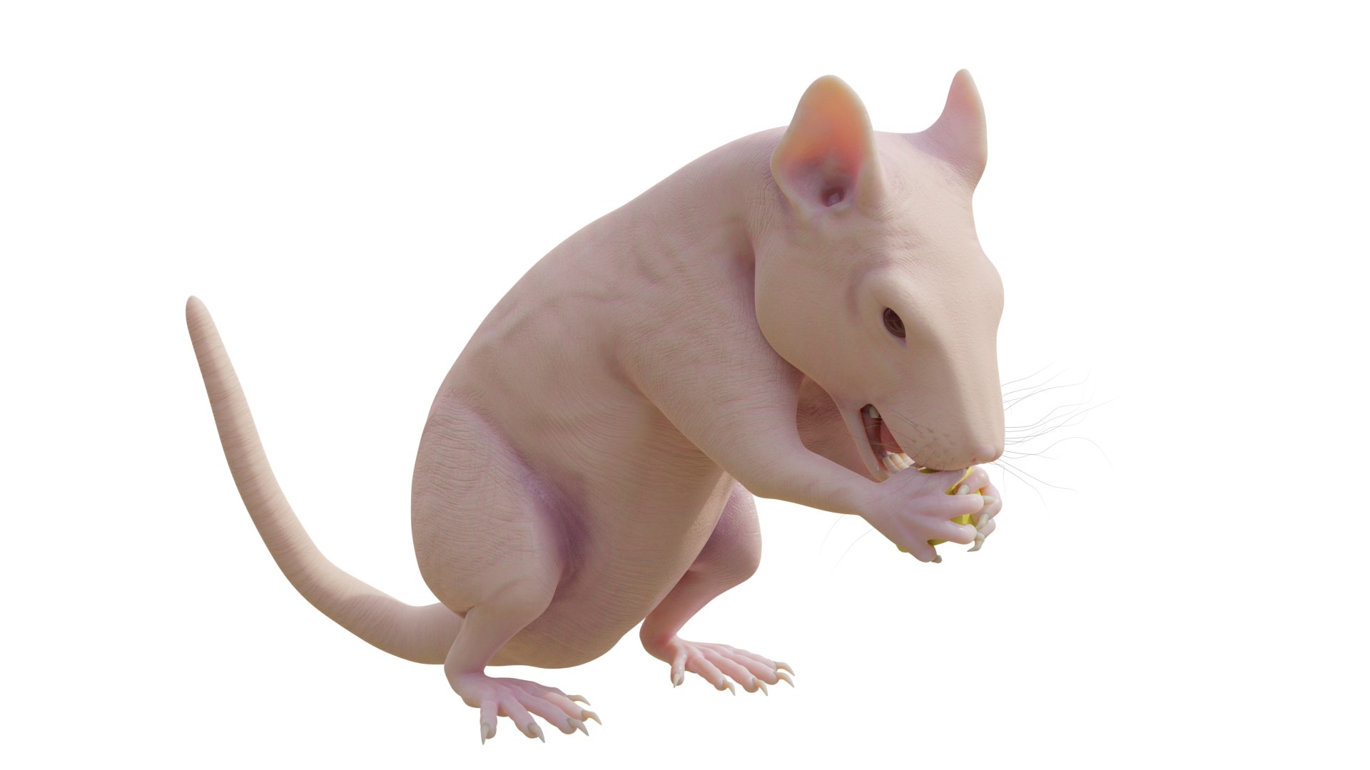 3D RET FOR VFX CGI Model - TurboSquid 2213532