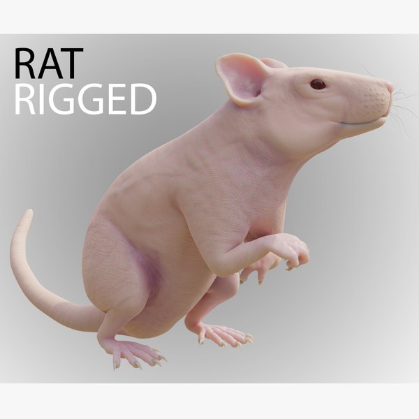 Free 3D Cgi Models | TurboSquid