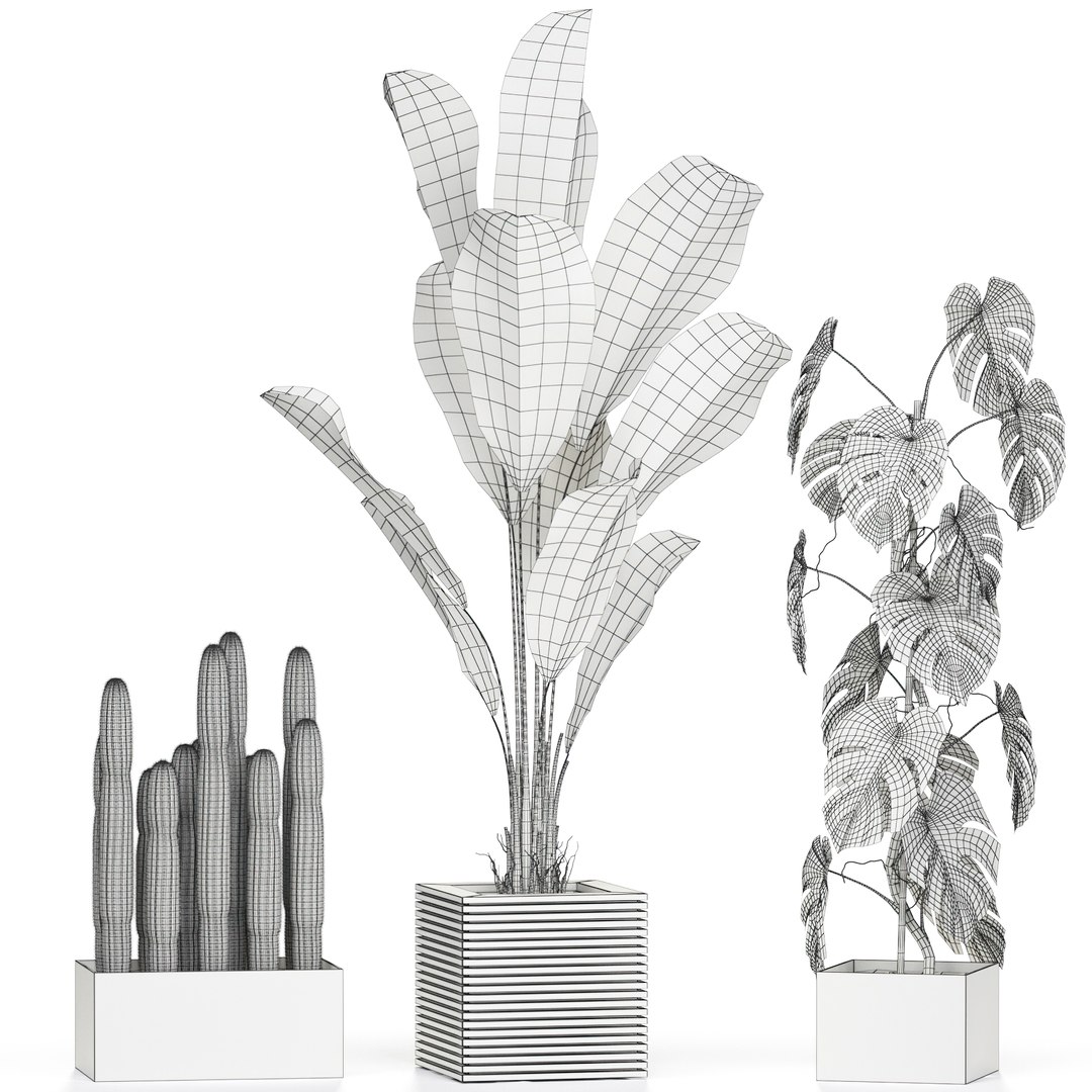 Plants Collection 595 3D Model - TurboSquid 1860417