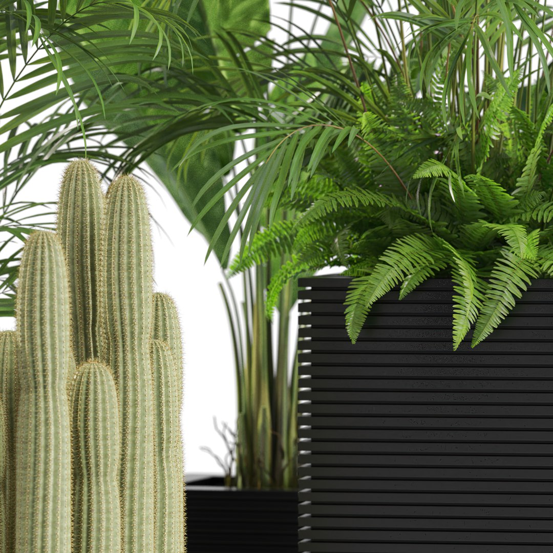 Plants Collection 595 3D Model - TurboSquid 1860417