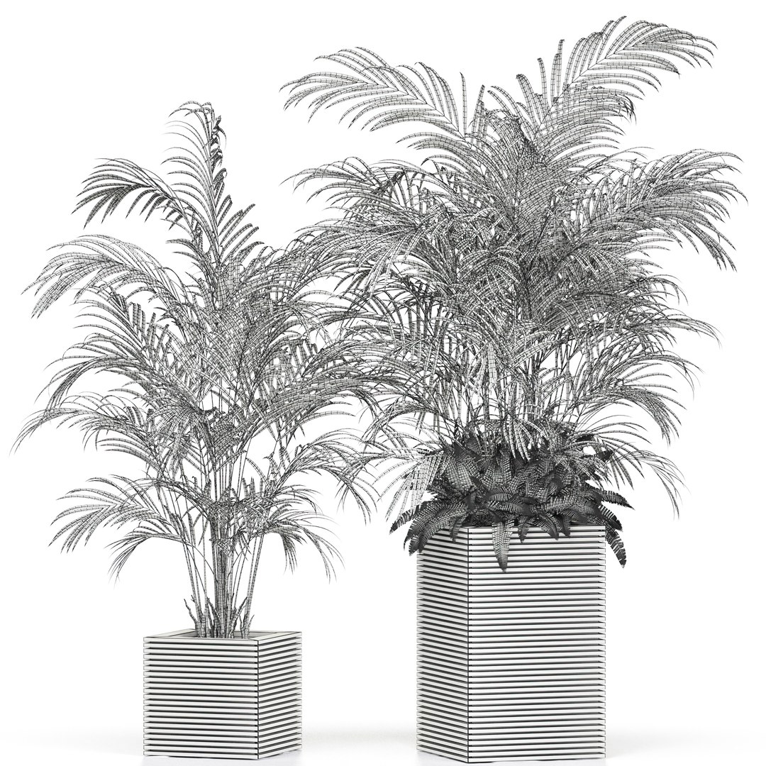 Plants Collection 595 3D Model - TurboSquid 1860417
