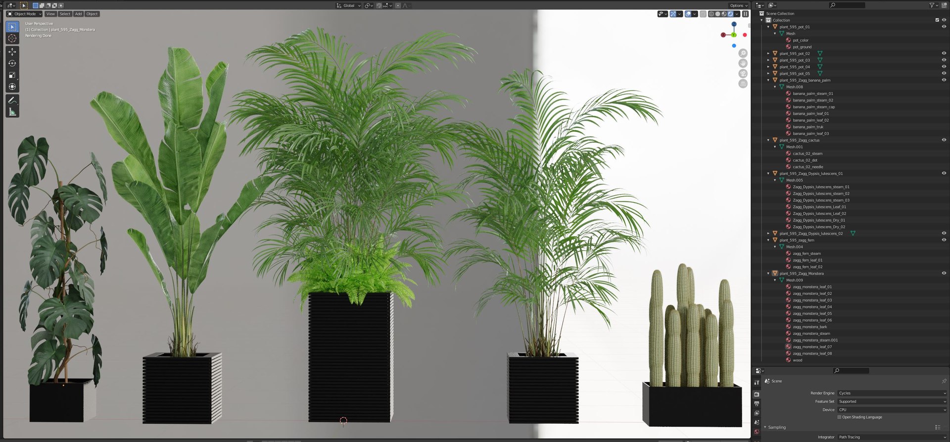 Plants Collection 595 3D Model - TurboSquid 1860417