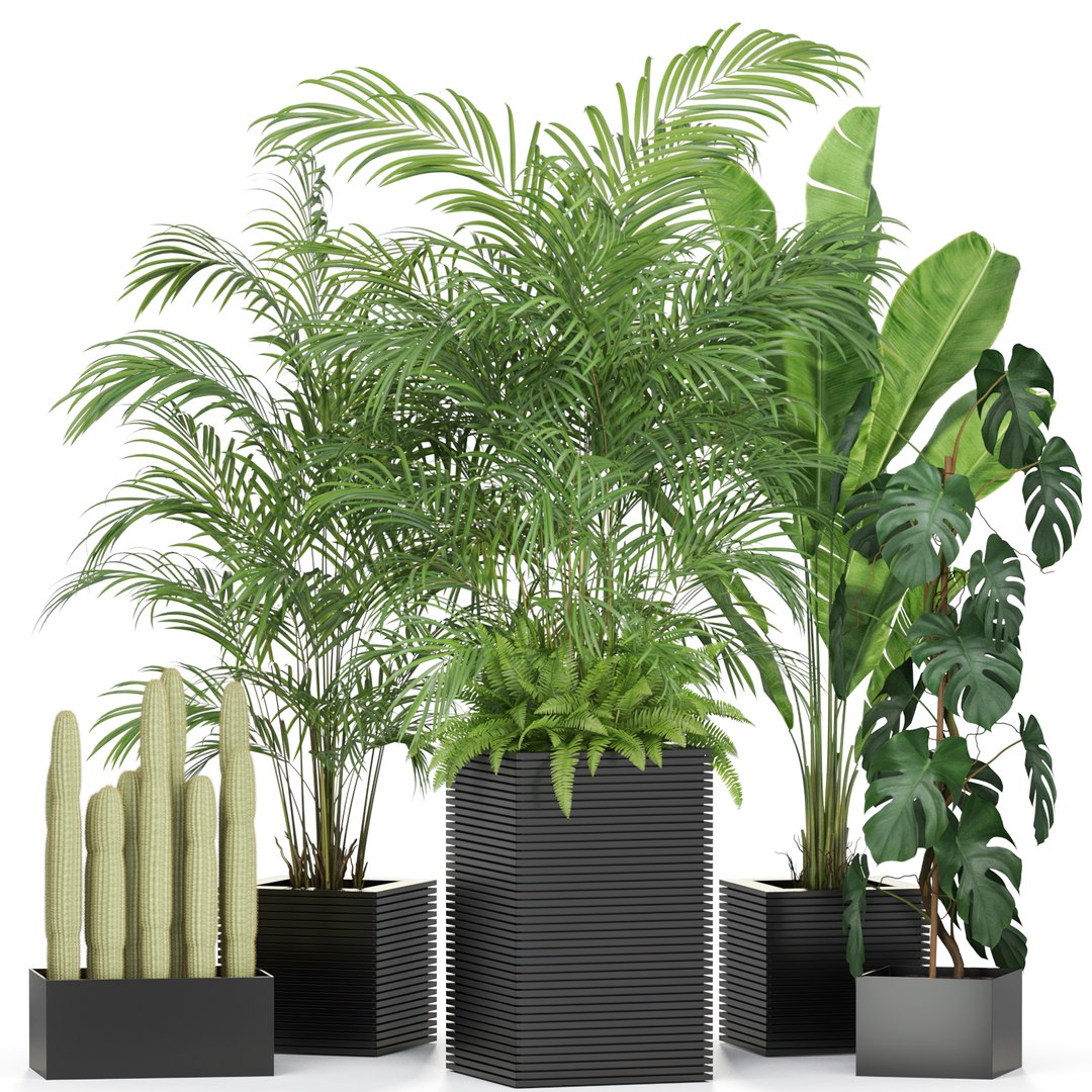 Plants Collection 595 3D Model - TurboSquid 1860417