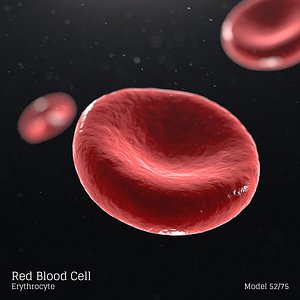 Low Poly Red Blood Cell 3D Models For Download | TurboSquid
