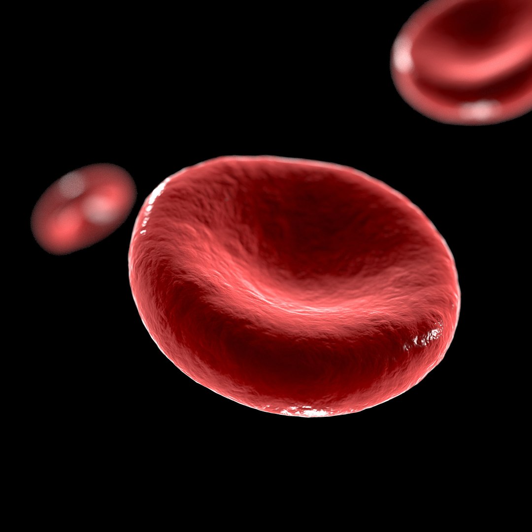 Microbes Bacteria Cells 3D Model - TurboSquid 1626119