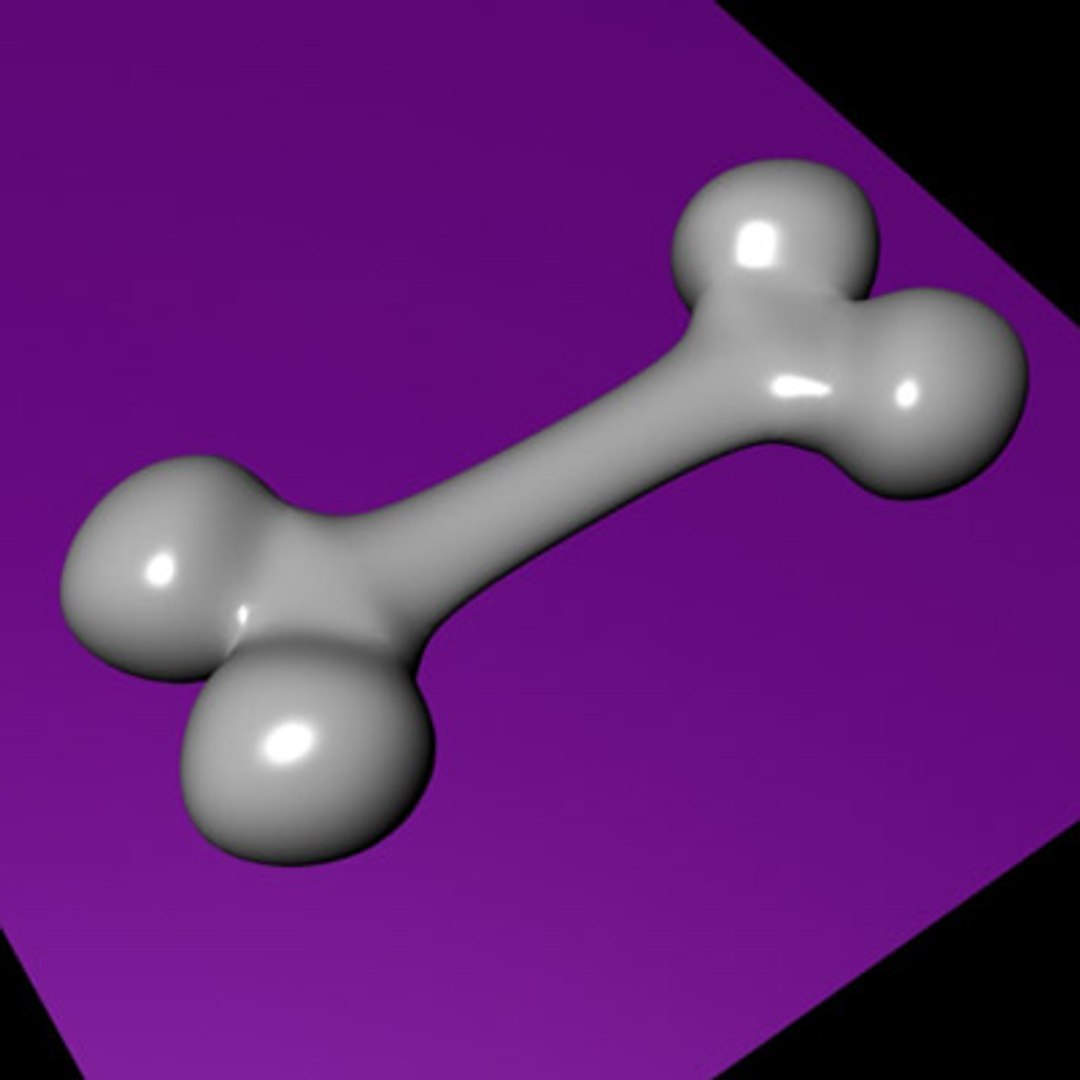free bone 3d model