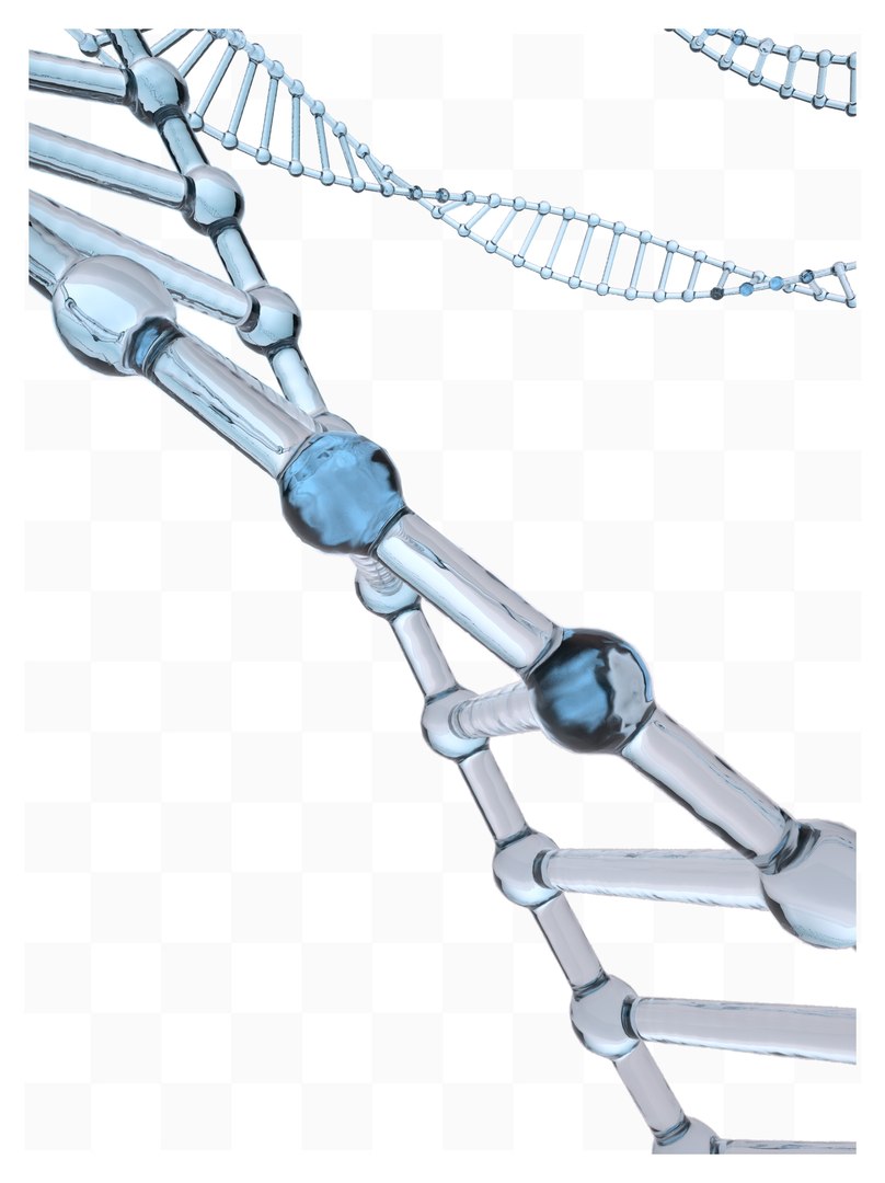 3D gene 3D model - TurboSquid 2080074