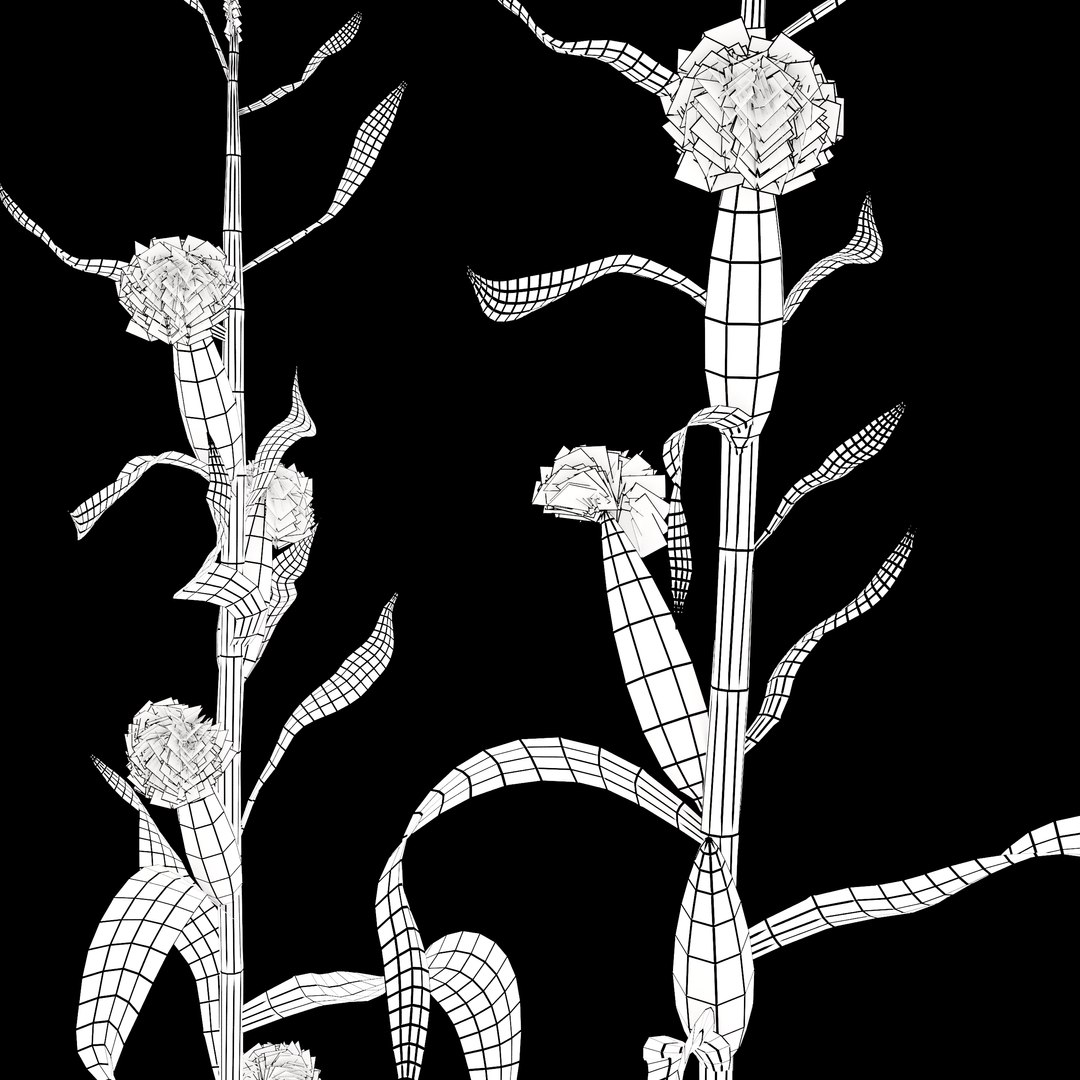 Corn Field Model - TurboSquid 1959870