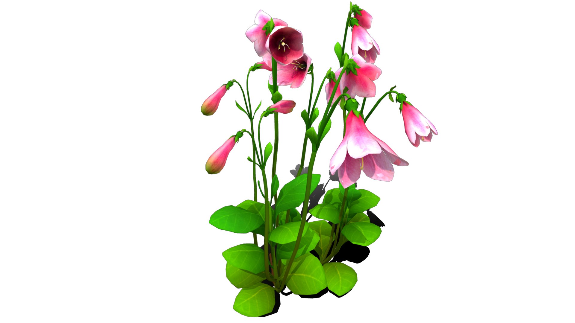3D Flower Linnaea Borealis - TurboSquid 2132221