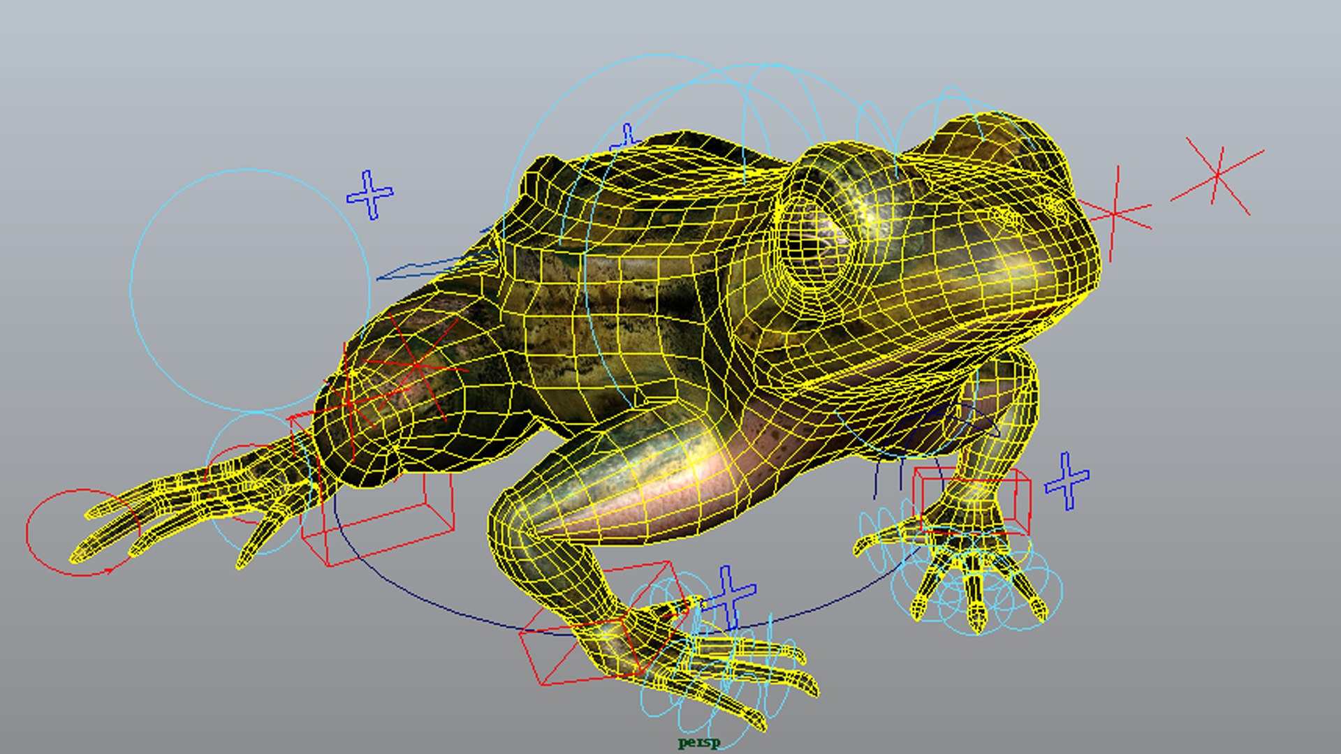 FROG 3D - TurboSquid 2191085