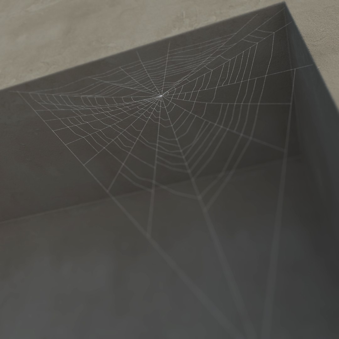 Spiderweb Web 3d Model