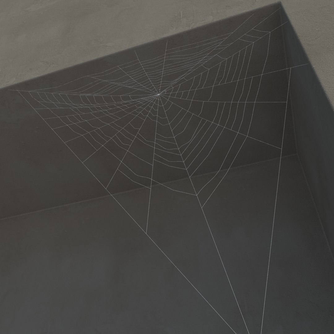 Spiderweb Web 3d Model