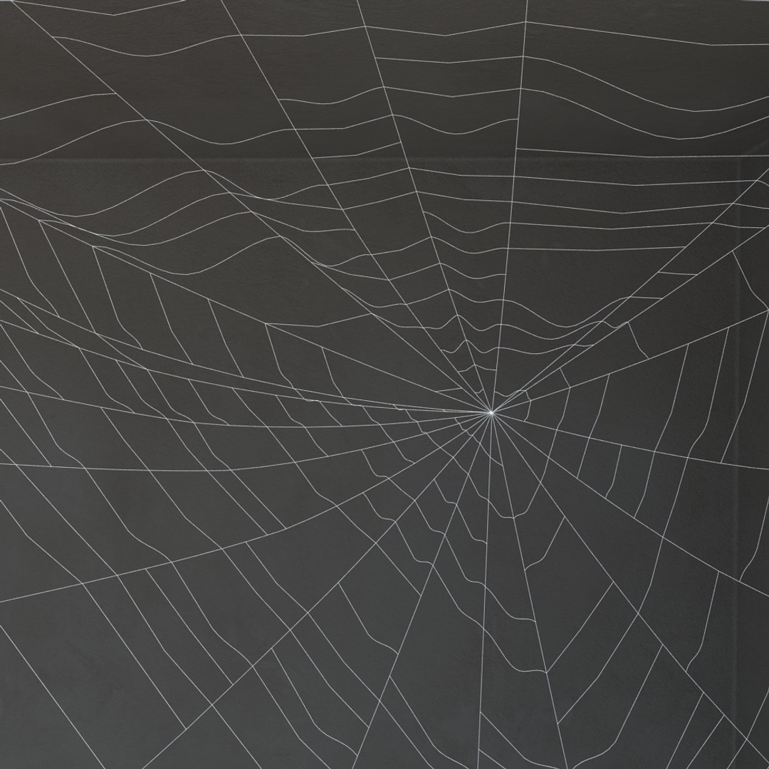 Spiderweb Web 3d Model