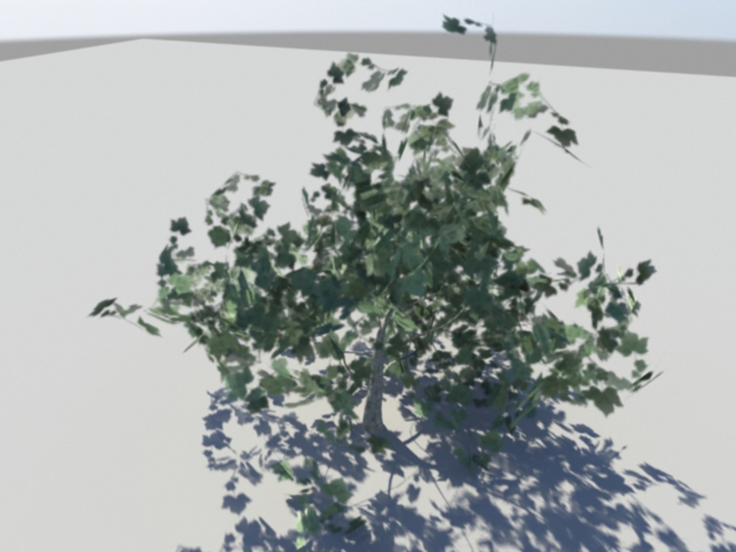 3d model bush