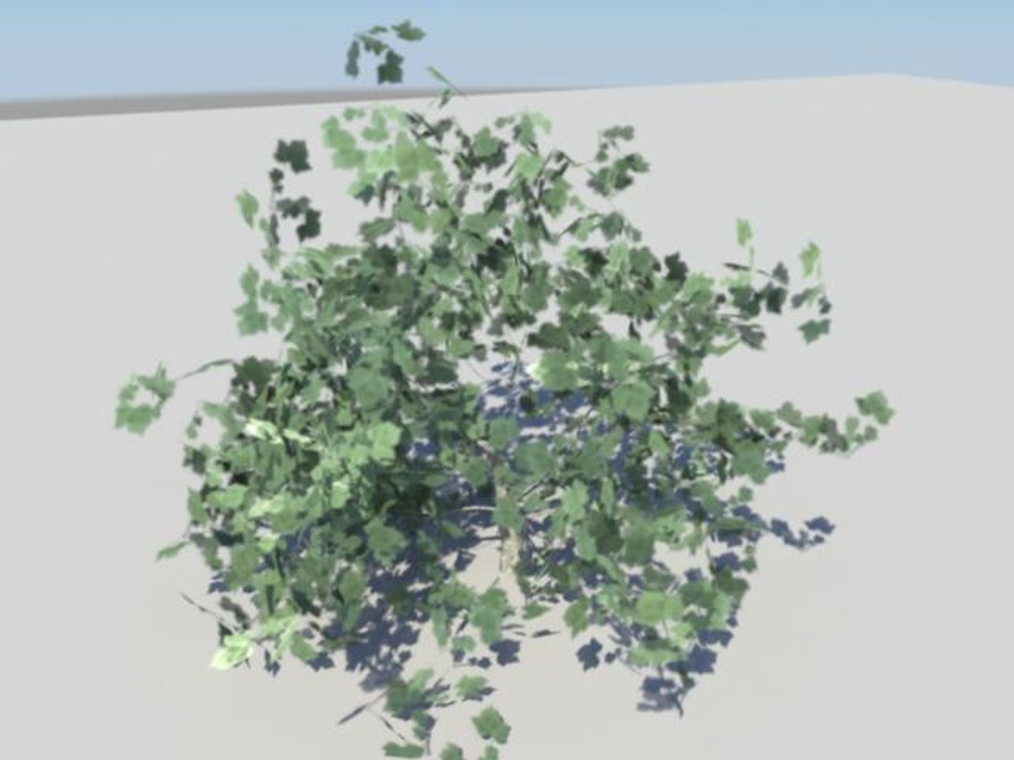 3d model bush