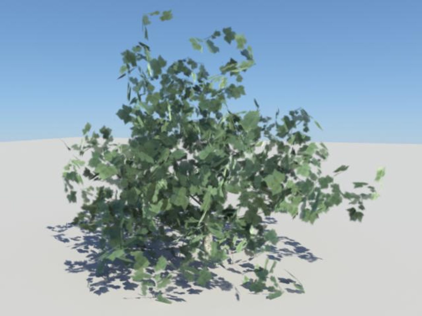 3d model bush