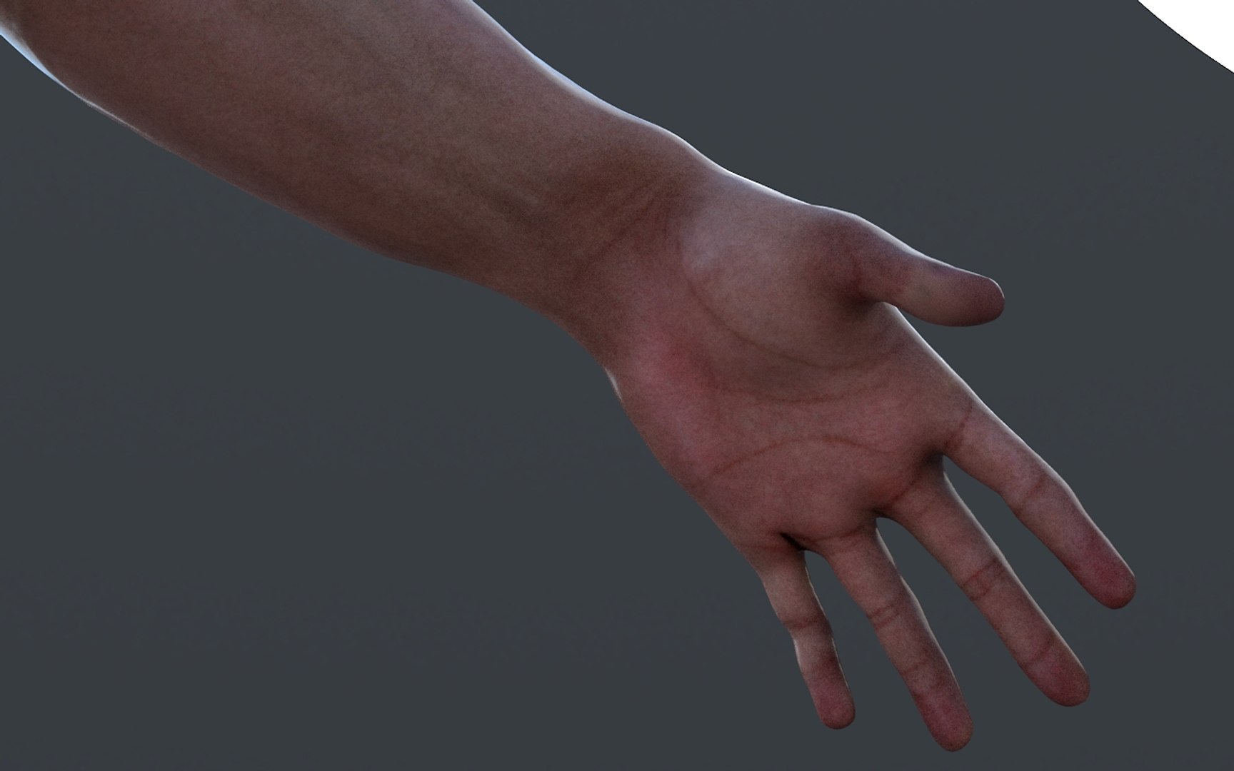 3d Zbrush Hand