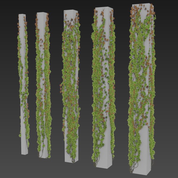 Column with Ivy v1 model - TurboSquid 1834297