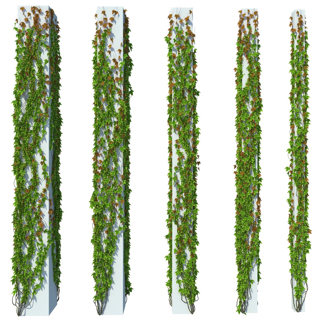 Column With Ivy V1 Model - TurboSquid 1834297