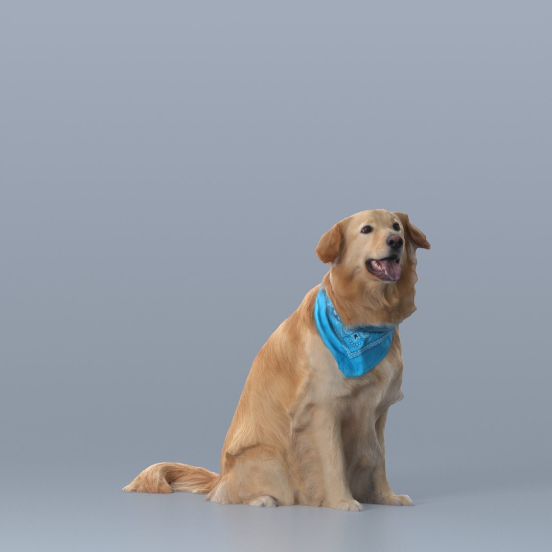 3D Dog - TurboSquid 1266769