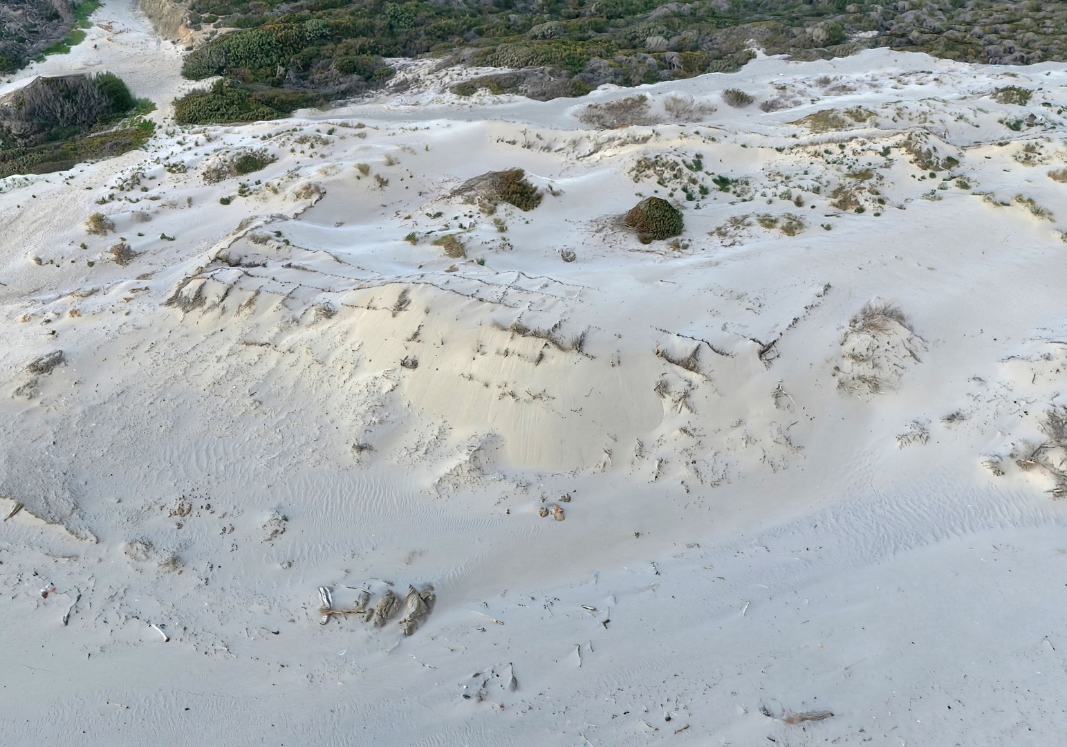 3D Beach Dunes - TurboSquid 1873049