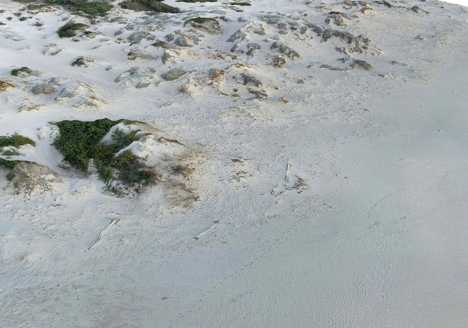 3D Beach Dunes - TurboSquid 1873049