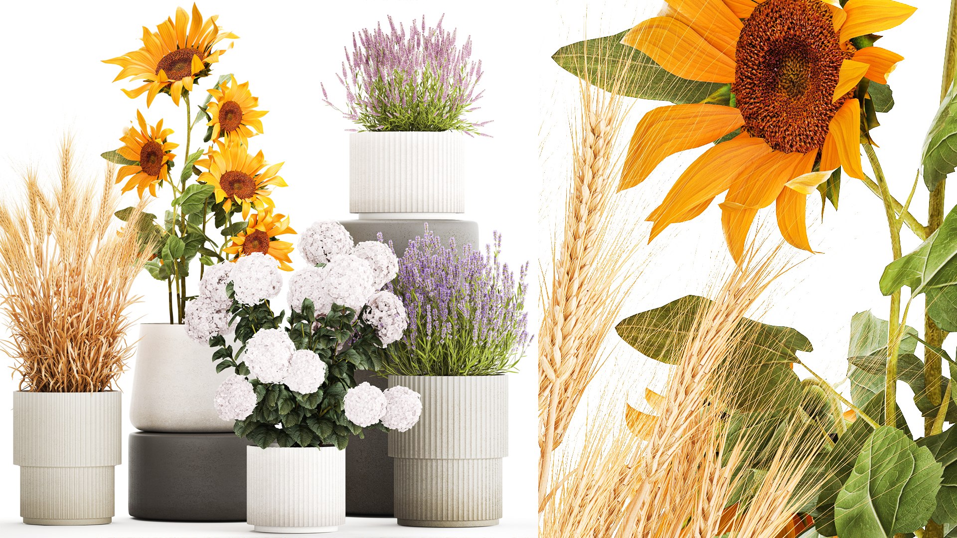 Set Of Beautiful Plants And Flowers In Flowerpot 1307 3D Model ...