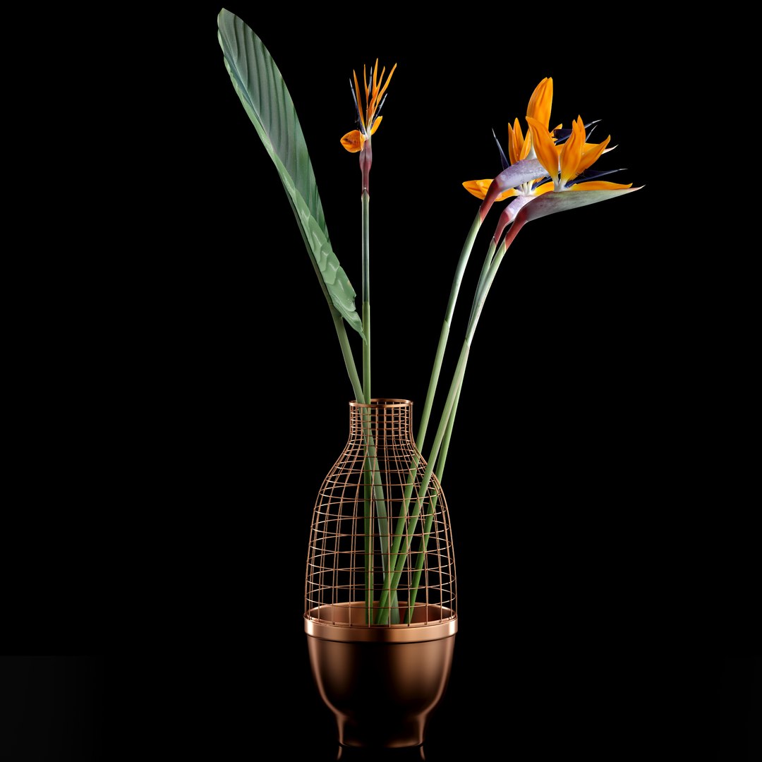 realistic strilicia flowers grid 3d model