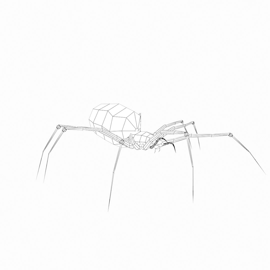 3d realistic spider model