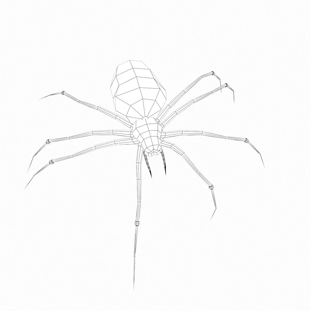 3d realistic spider model