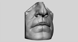 Anatomy Nose STL Models for Download | TurboSquid