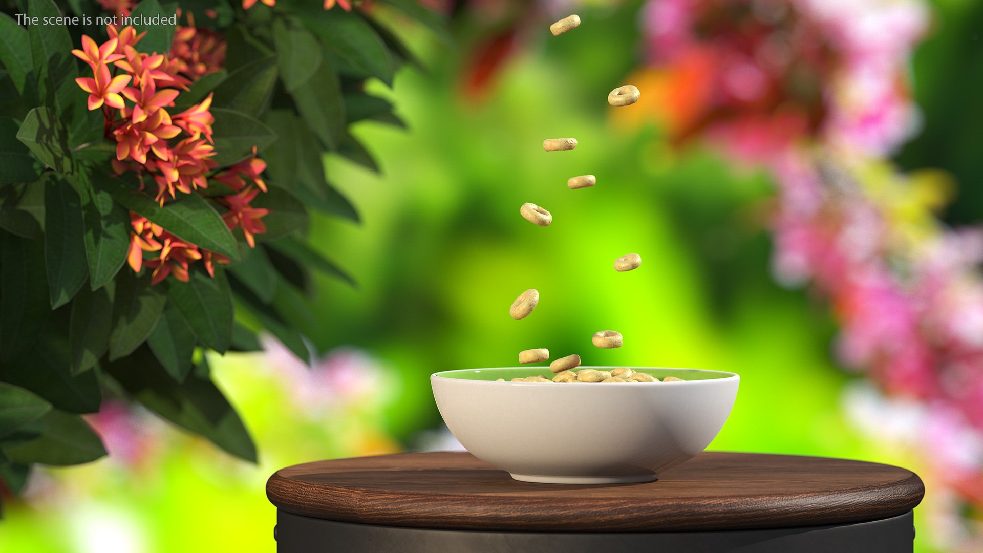 3D Model Oats Cereals Rings With Plate - TurboSquid 1783987