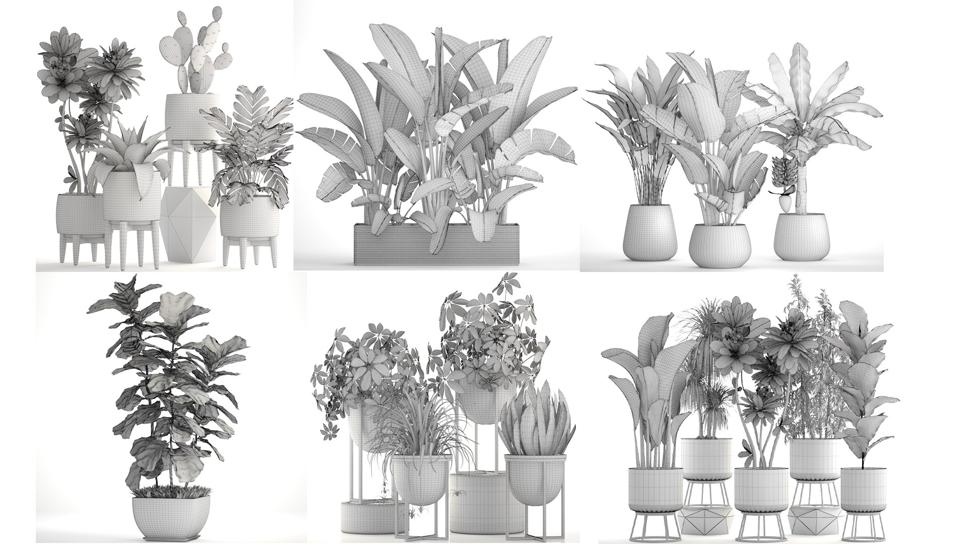 3D Collection Of Plants 55 Pieces Model - TurboSquid 1780602