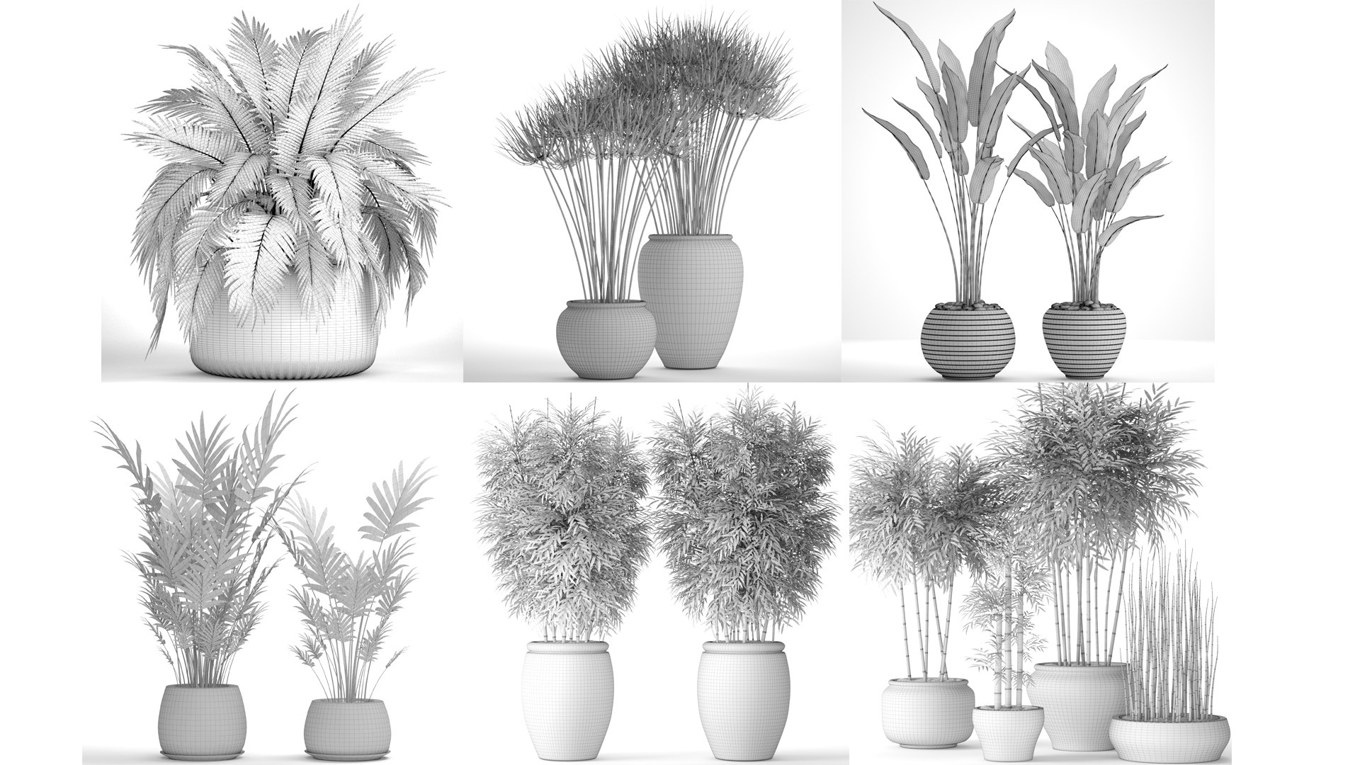 3D Collection Of Plants 55 Pieces Model - TurboSquid 1780602