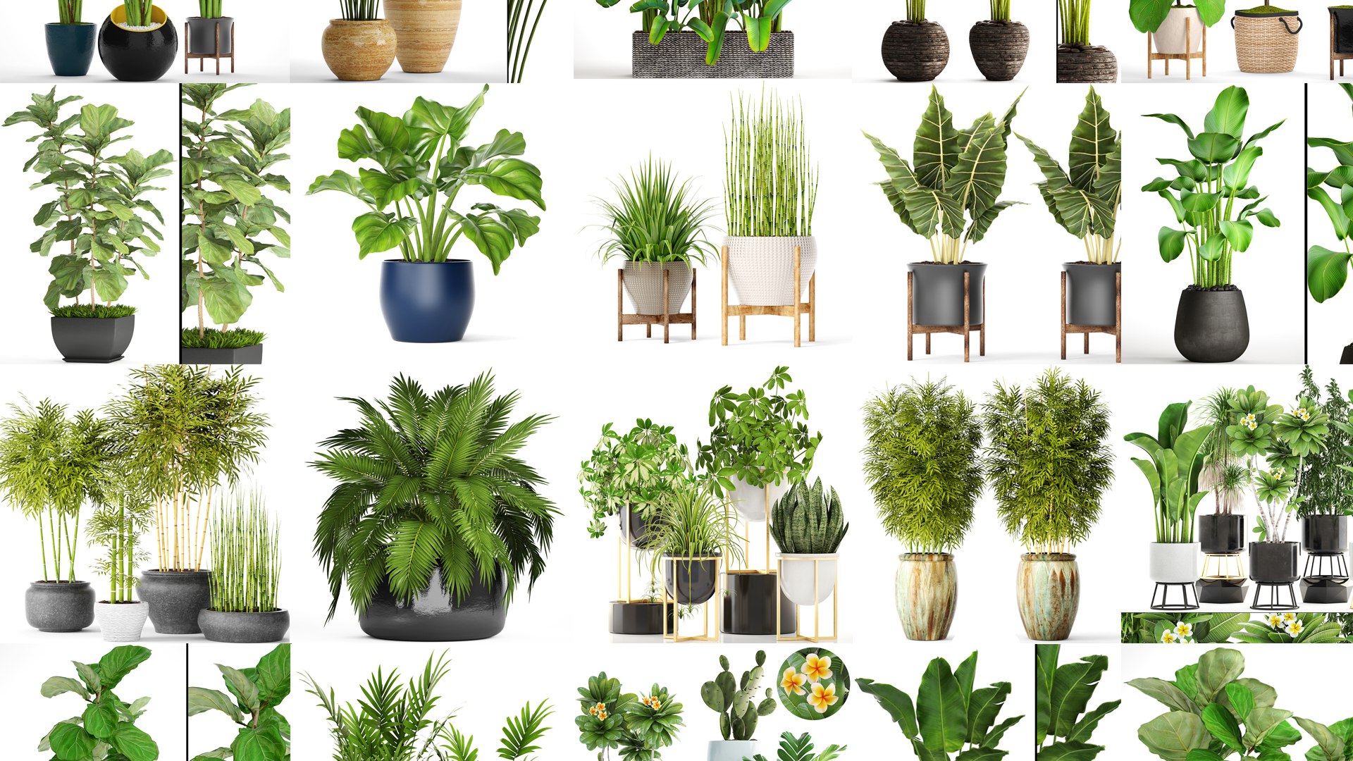 3D Collection Of Plants 55 Pieces Model - TurboSquid 1780602