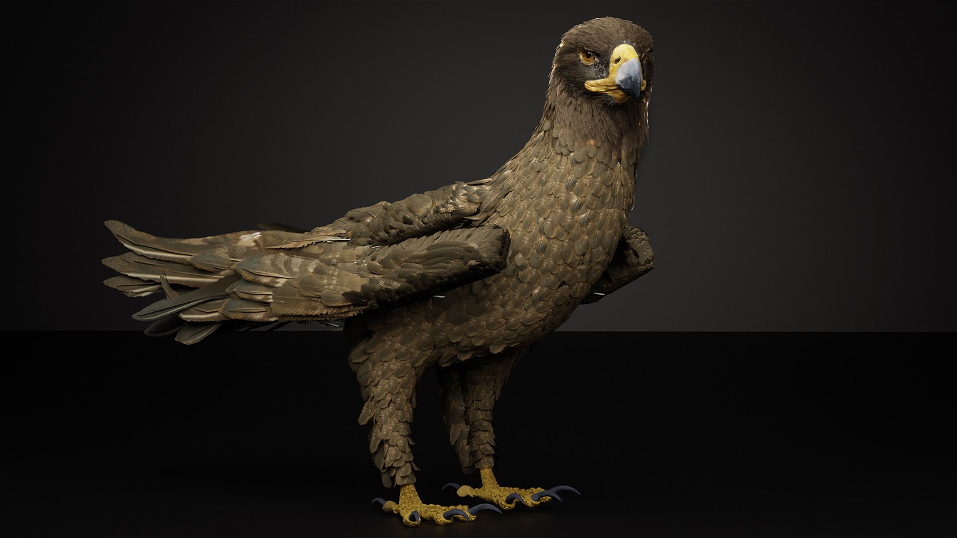 Golden Eagle 3D Blender 3D Model - TurboSquid 2292526